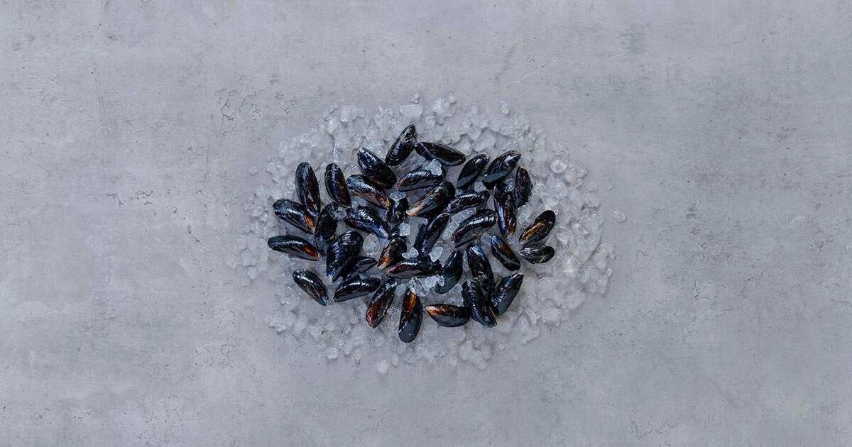 Blue mussels | Seafood from Norway | Seafood from Norway