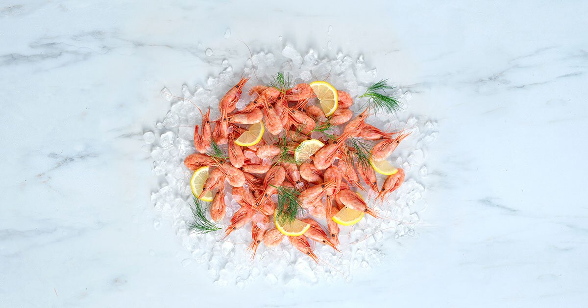 Norwegian cold-water prawns | Seafood from Norway | Seafood from Norway